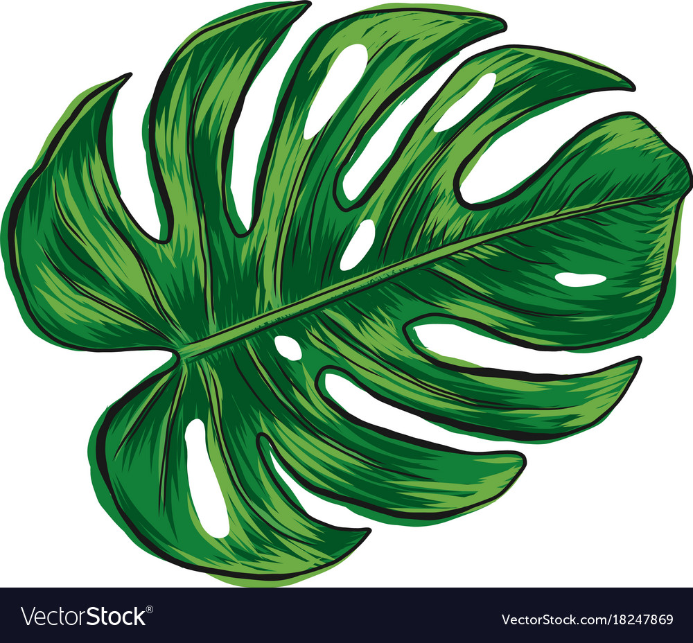 Printable Monstera Leaf Outline Printable World Holiday