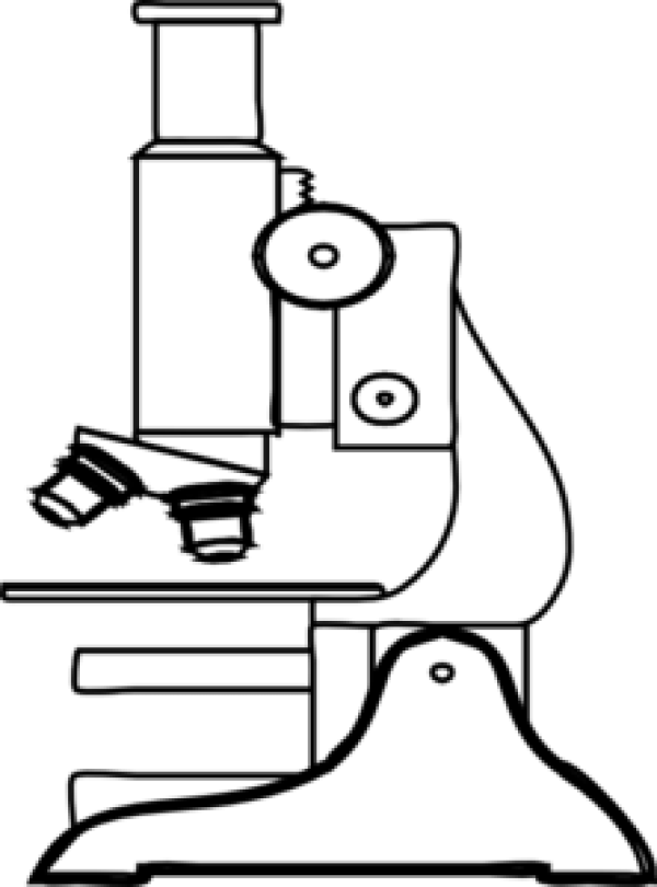 Microscope Clipart Outline and other clipart images on Cliparts pub™