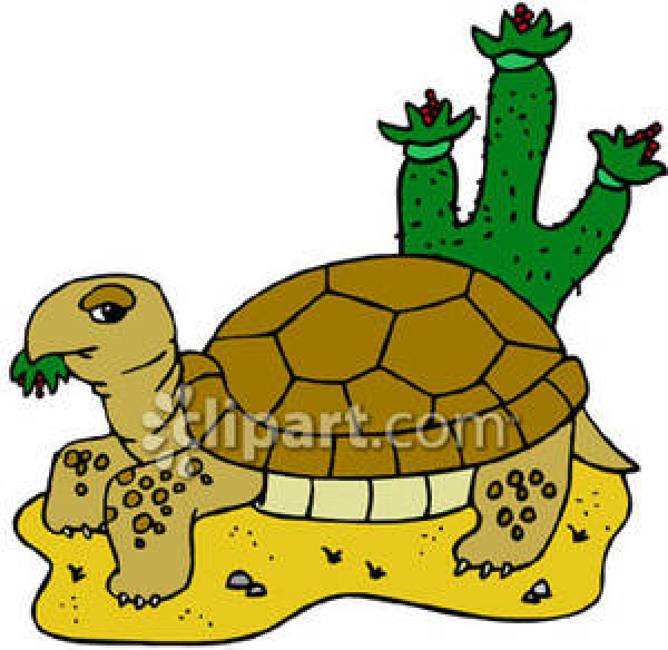 Tortoise Clipart Desert and other clipart images on Cliparts pub™