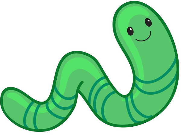 Worm Clipart and other clipart images on Cliparts pub™
