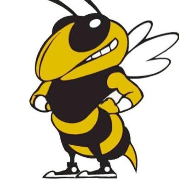 Yellow Jacket Clipart Springfield and other clipart images on Cliparts pub™